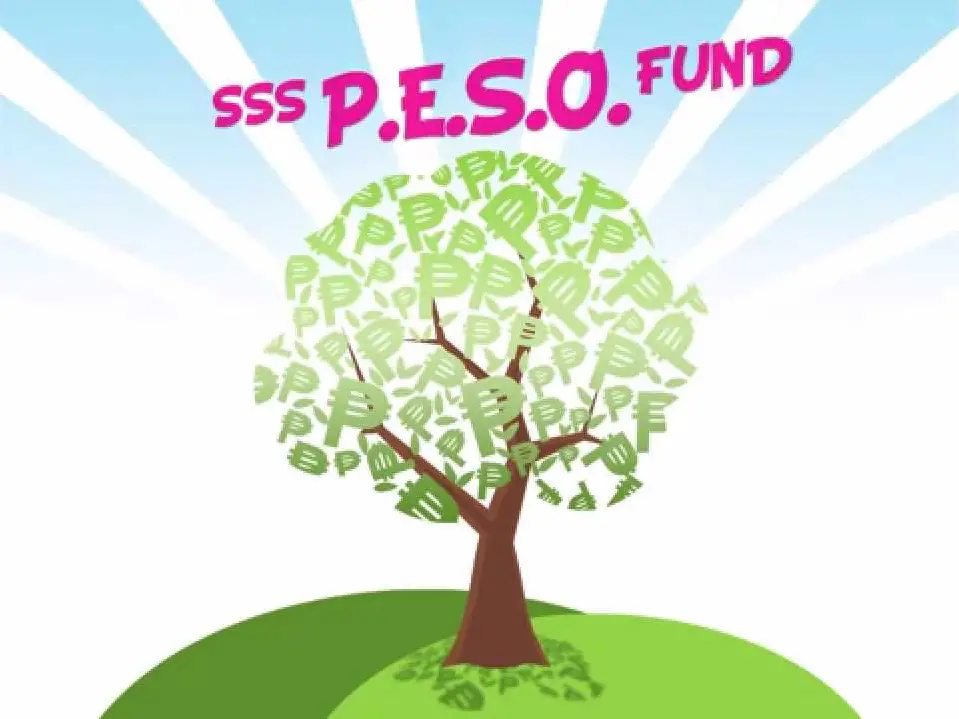 SSS PESO Fund vs Pag IBIG Modified 2