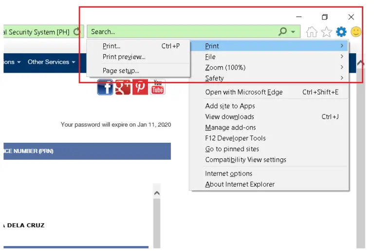 How To Get Sss Static Information From Sss Website Sss Inquiries